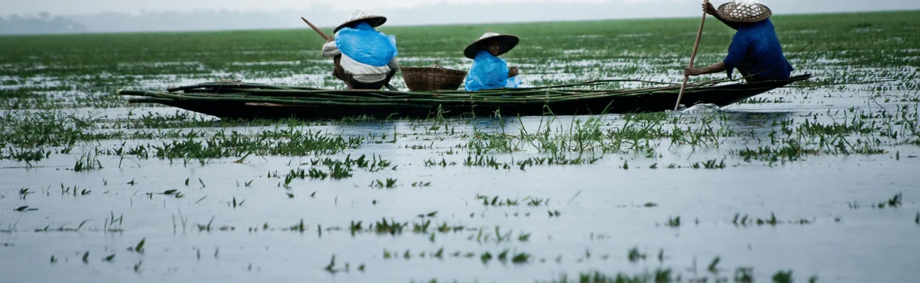 International VAT Guides - Bangladesh