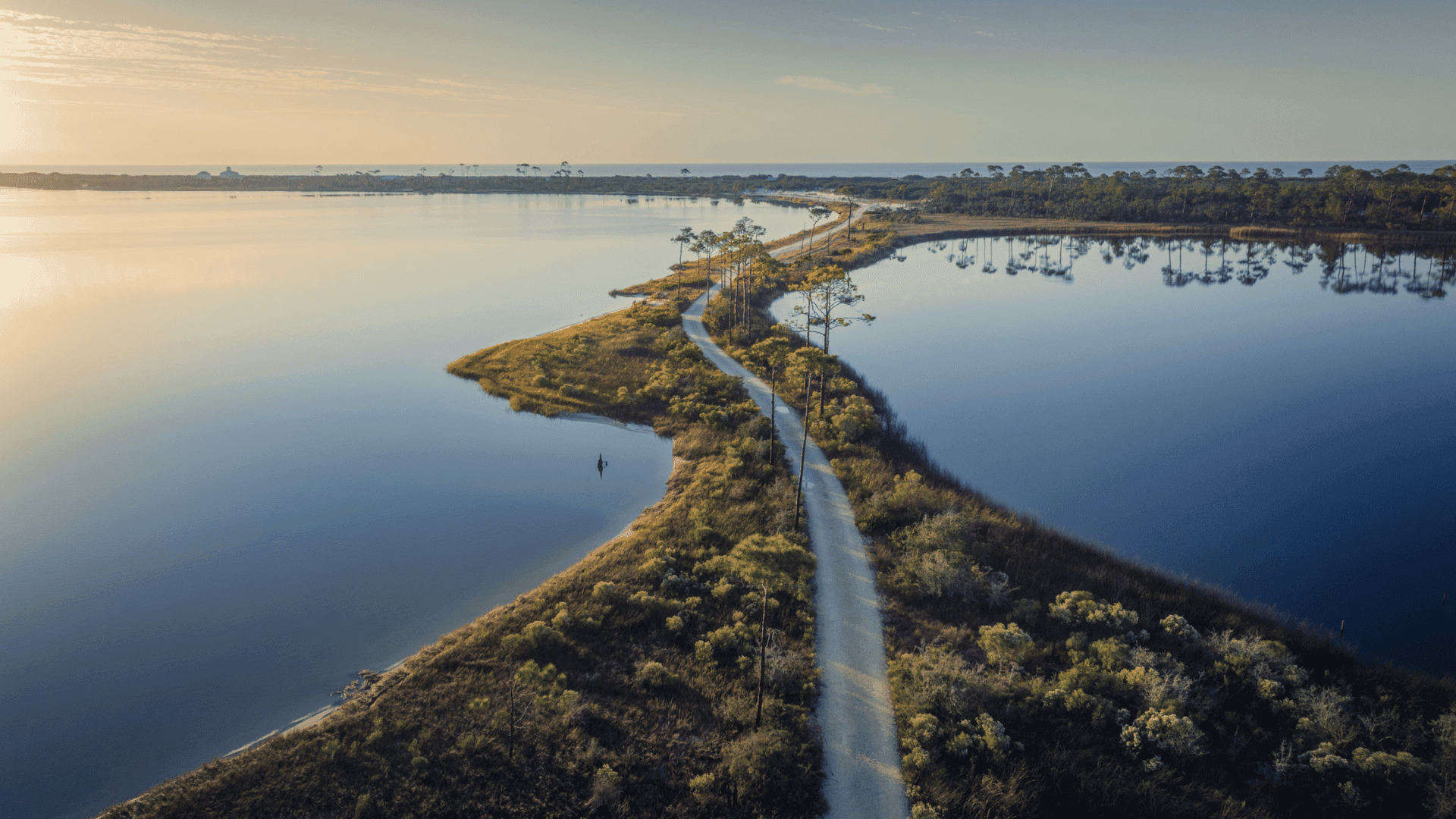 Amazon - Success Story of an E-commerce Leader in 2025