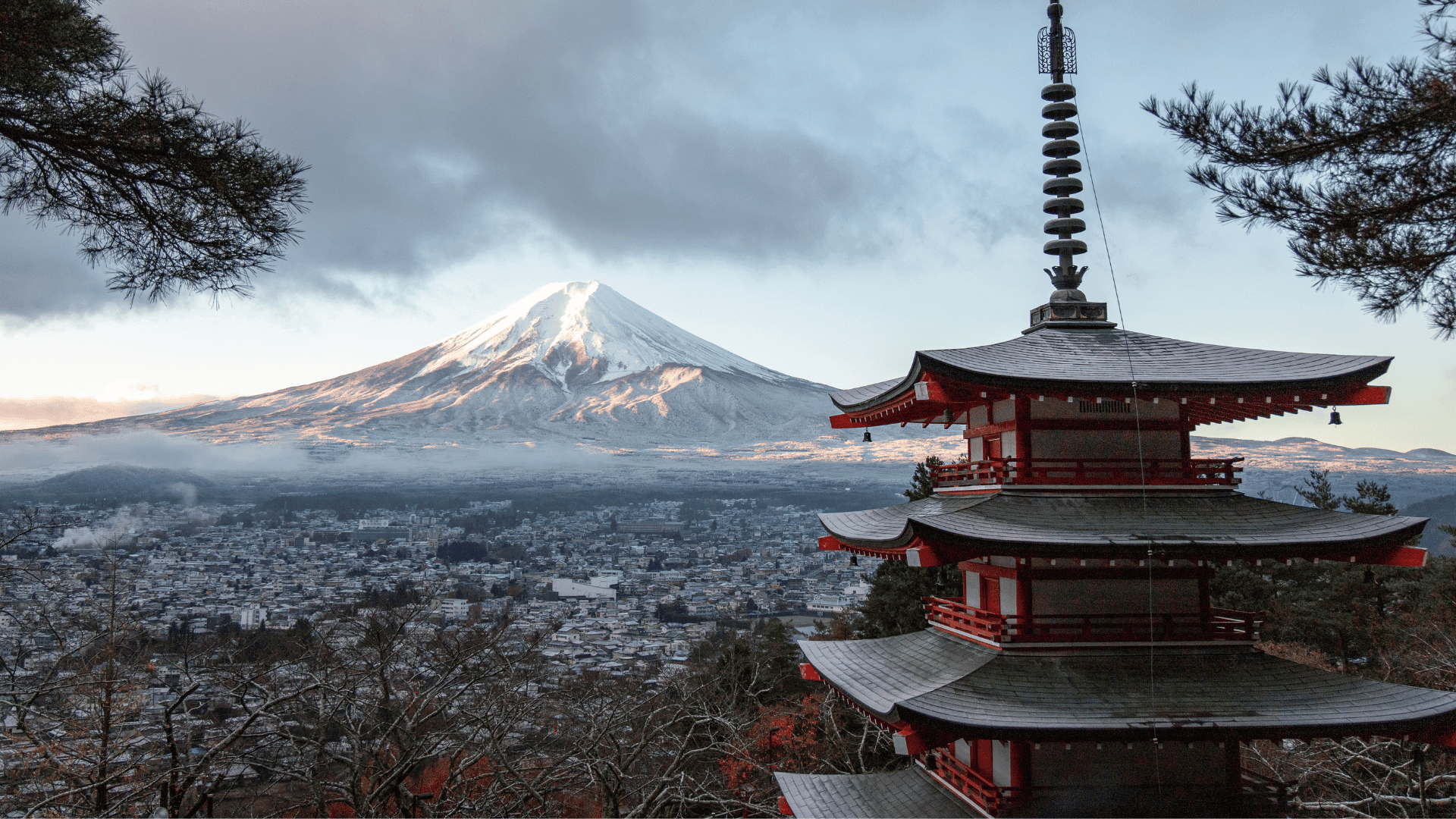International VAT Guides - Japan